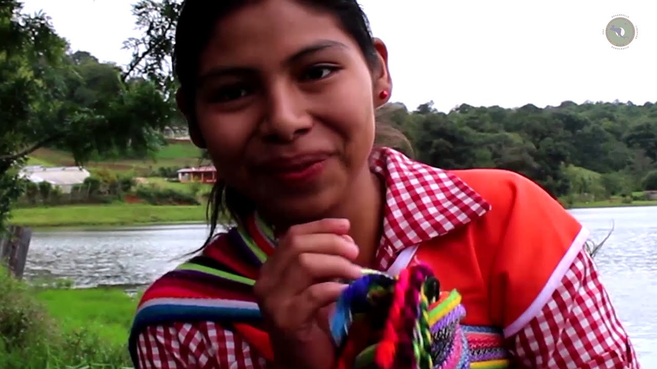 Lencas > HondurasSaber