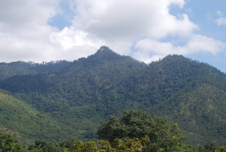 Parque Nacional Montaña de Yoro en Honduras - Honduras Tips - Los ...
